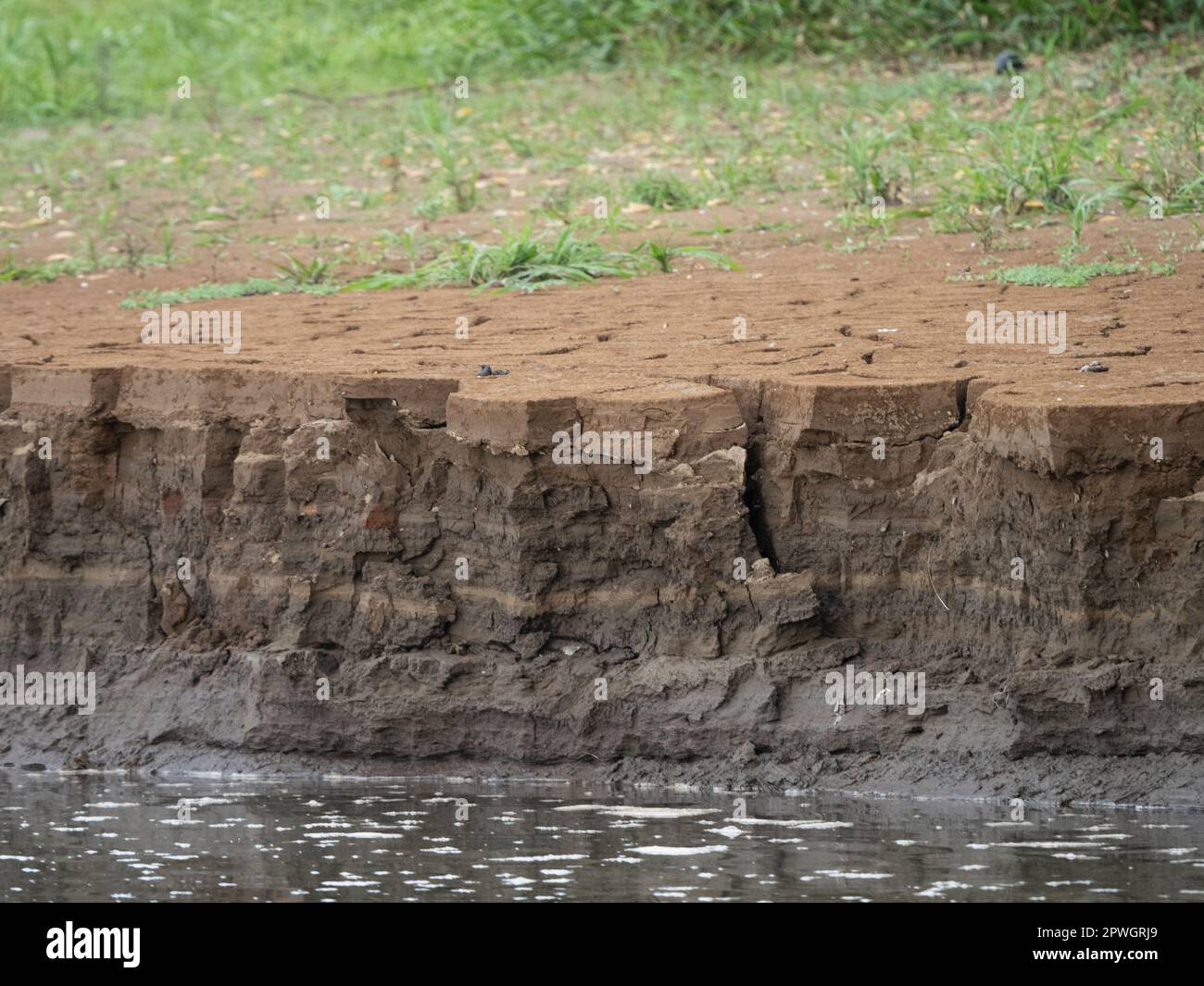 Soil Profile Horizons Information