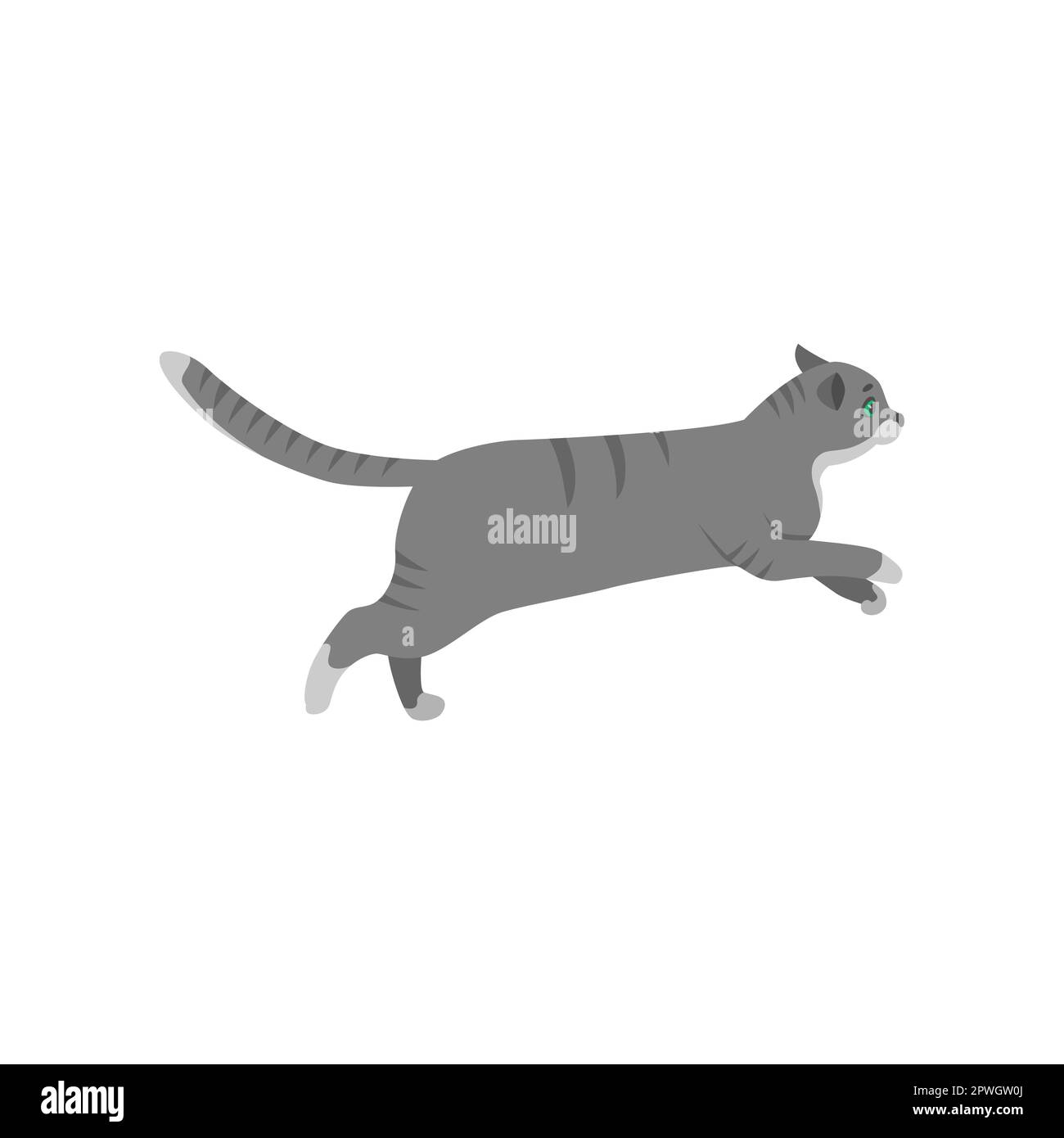Running Cat Transparent Background