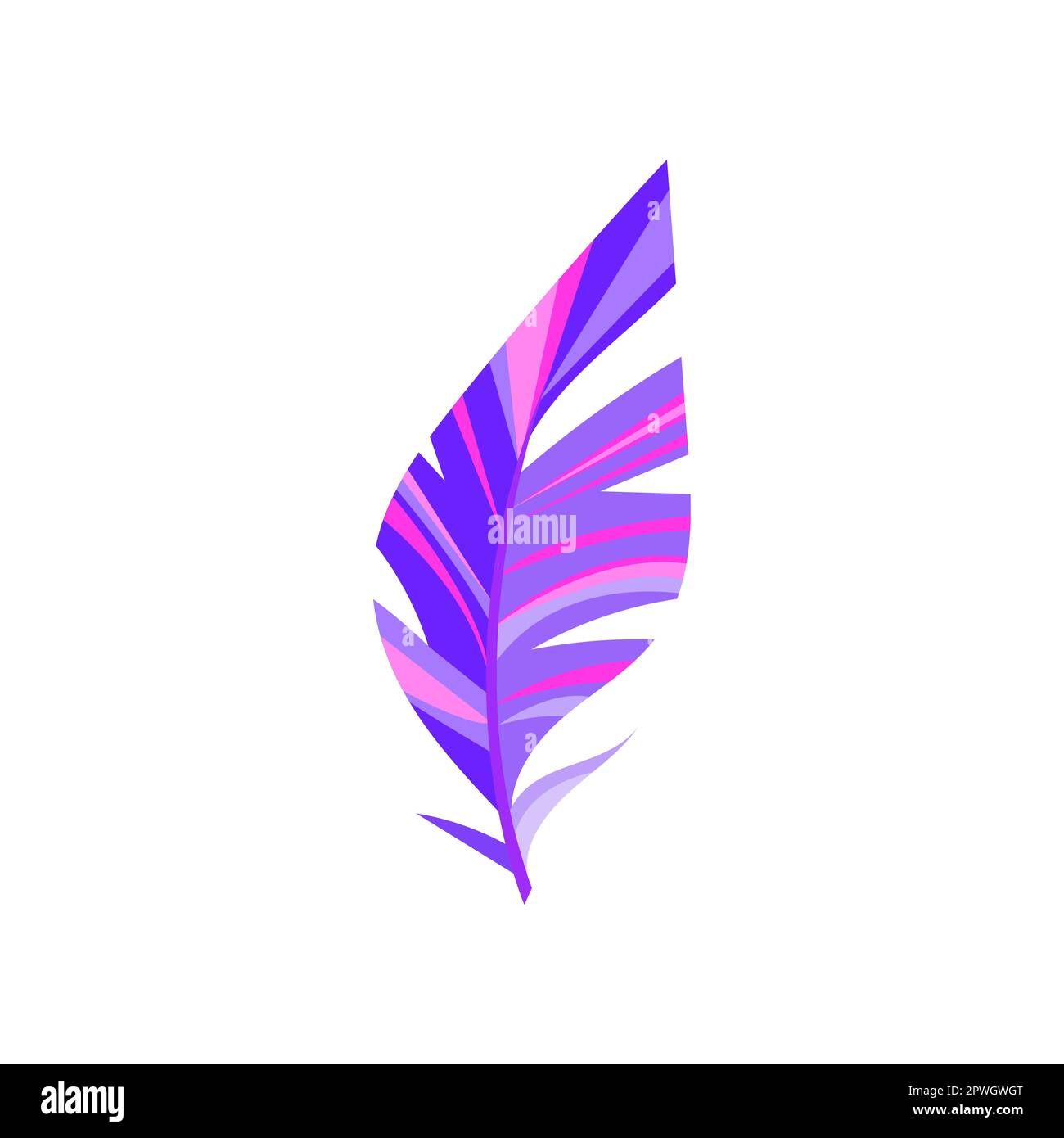 Colorful purple bird feather cartoon illustration Stock Vector Image ...