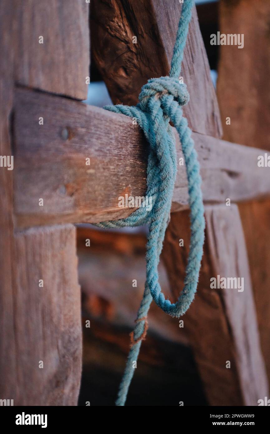 Green knot hi-res stock photography and images - Alamy