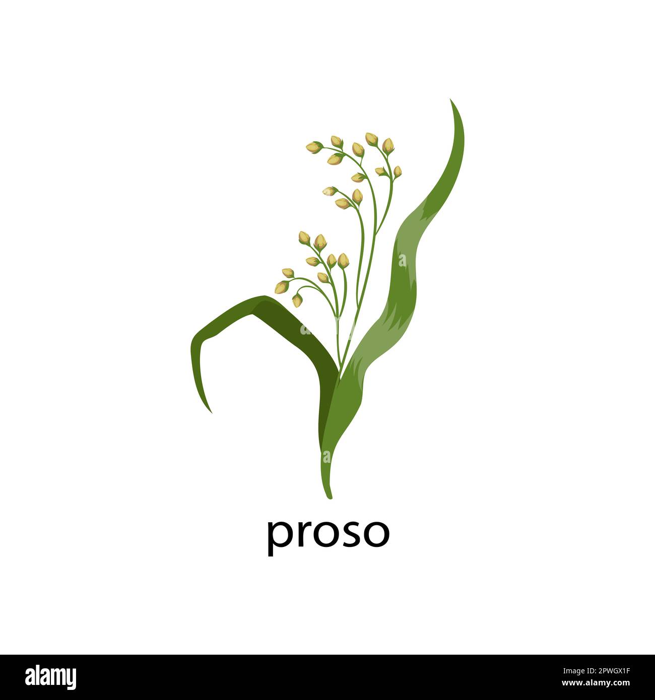 Illustration of millet hi-res stock photography and images - Alamy