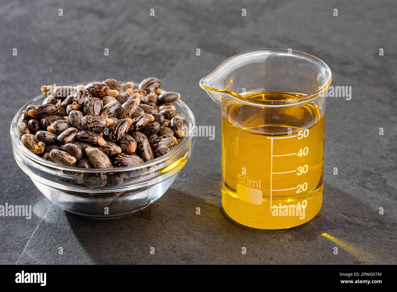 Ricinus communis oil in the glass container - Organic castor seeds ...