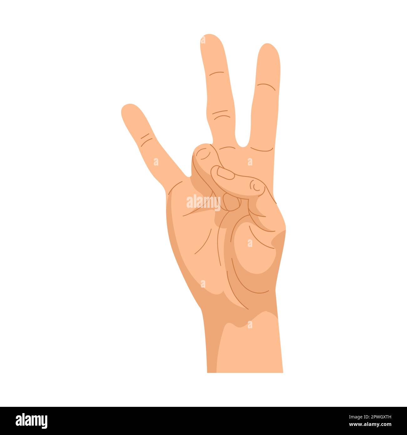 Hand gestures. Illustration of human palm showing sign. Cartoon peace symbol, thumbs up, ok ...