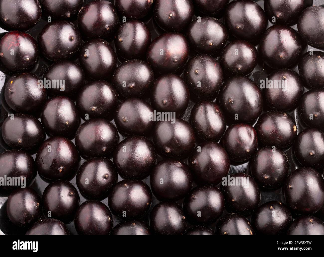 Fresh organic acai berries - Euterpe oleracea Stock Photo - Alamy