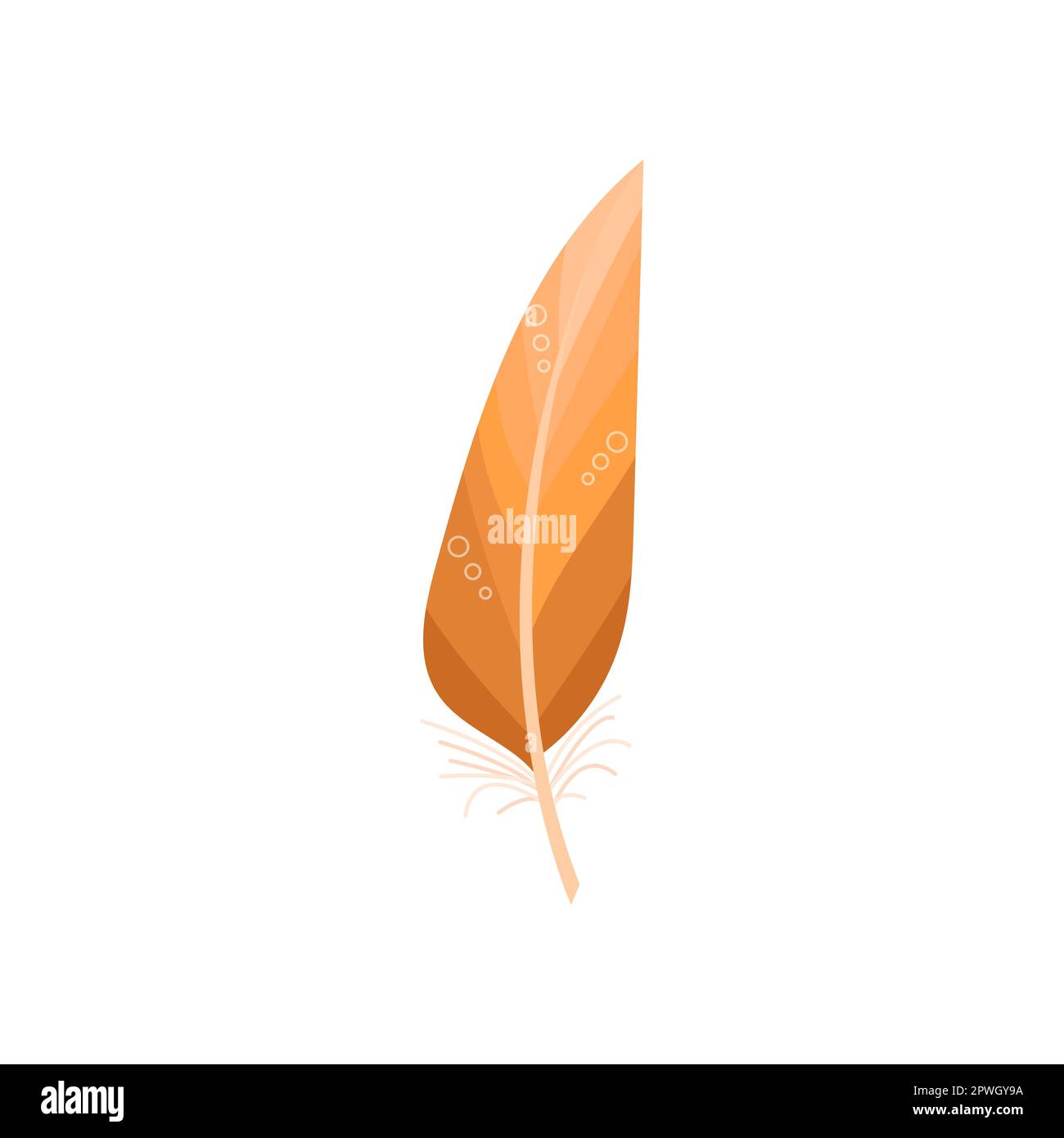 Elegant orange bird feather cartoon illustration Stock Vector Image ...