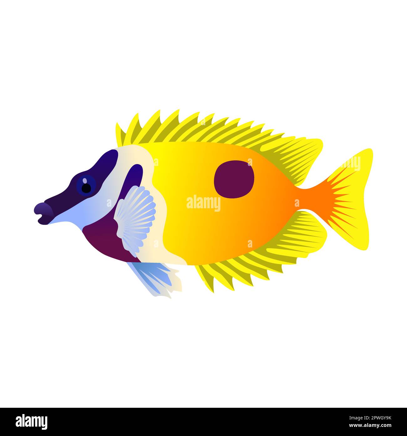 Marine coral fish on white background cartoon illustration. Beautiful ...