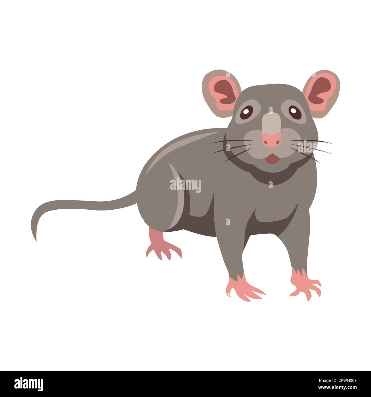 Cute grey rat cartoon illustration. Little house mice or rat character ...