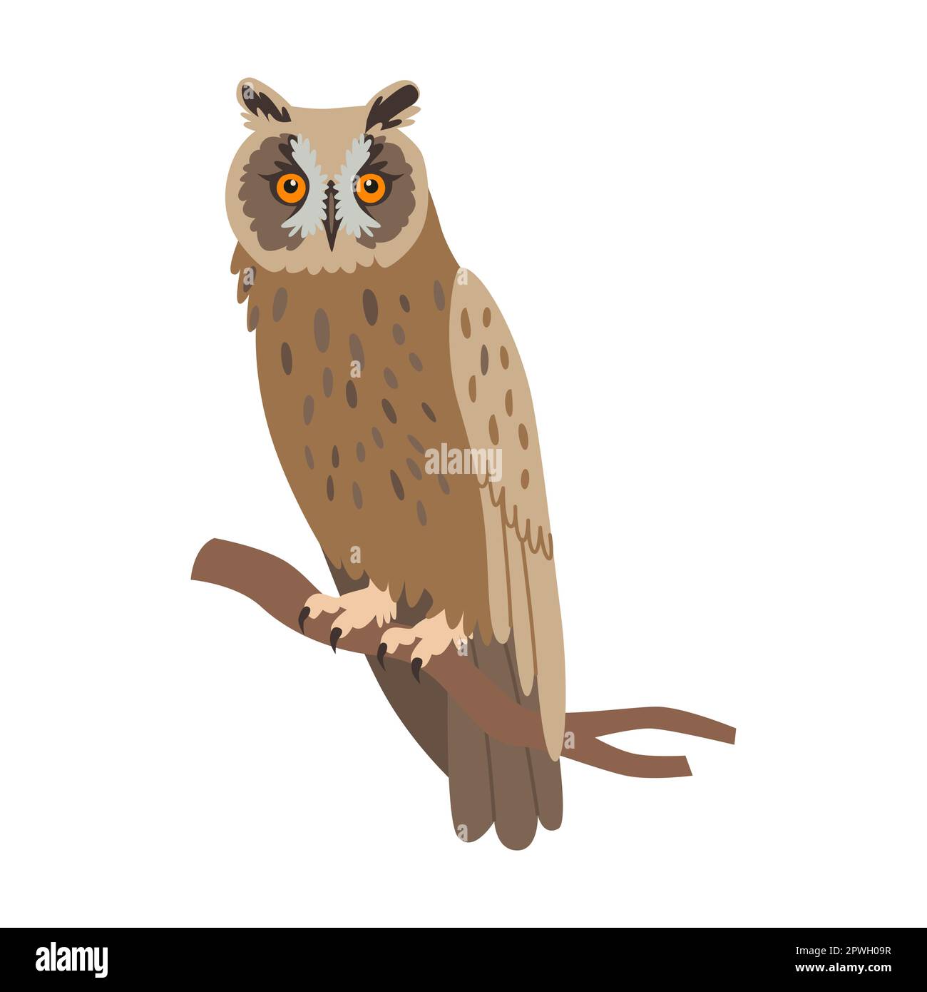 Forest owl cartoon illustration. Predatory bird or beautiful flying ...