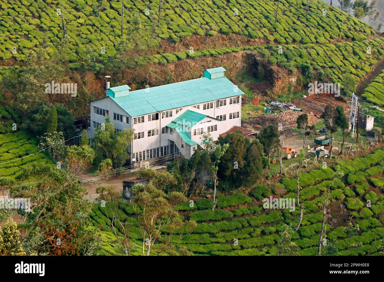 tea leaf processing factory in the middle of rural tea farm Stock Photo ...