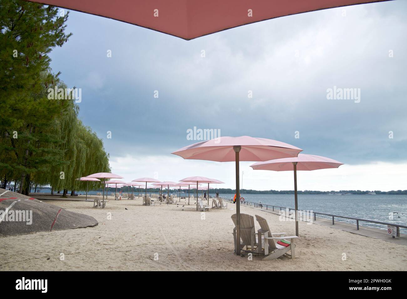 The pink beach umbrellas and Adirondack chairs in downtown Toronto ...