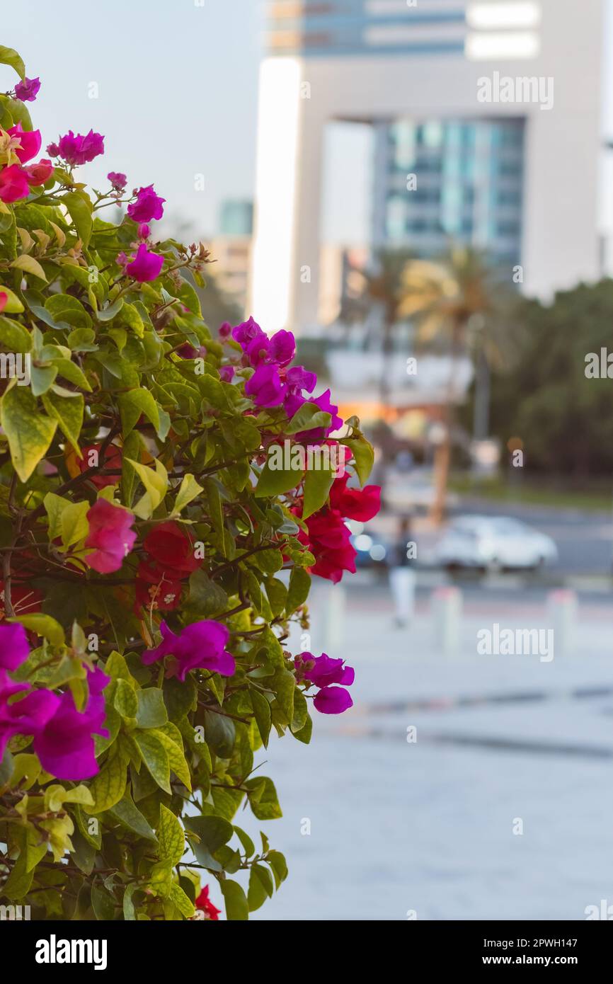 Beautiful green spaces hi-res stock photography and images - Alamy