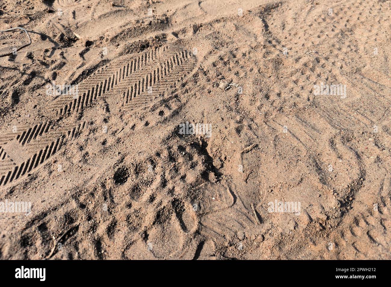 Russian Federation. Saint-Petersburg. April, spring. Sand on the beach ...