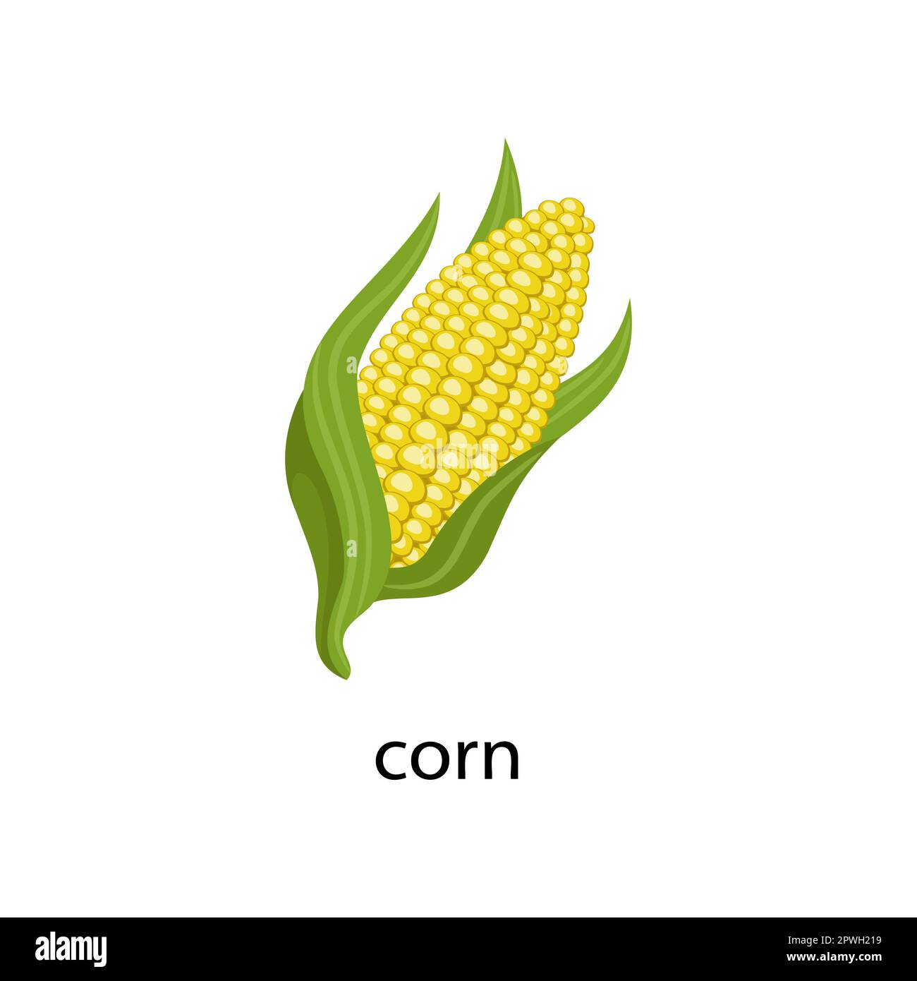 Corn cereal crop cartoon illustration Stock Vector Image & Art - Alamy
