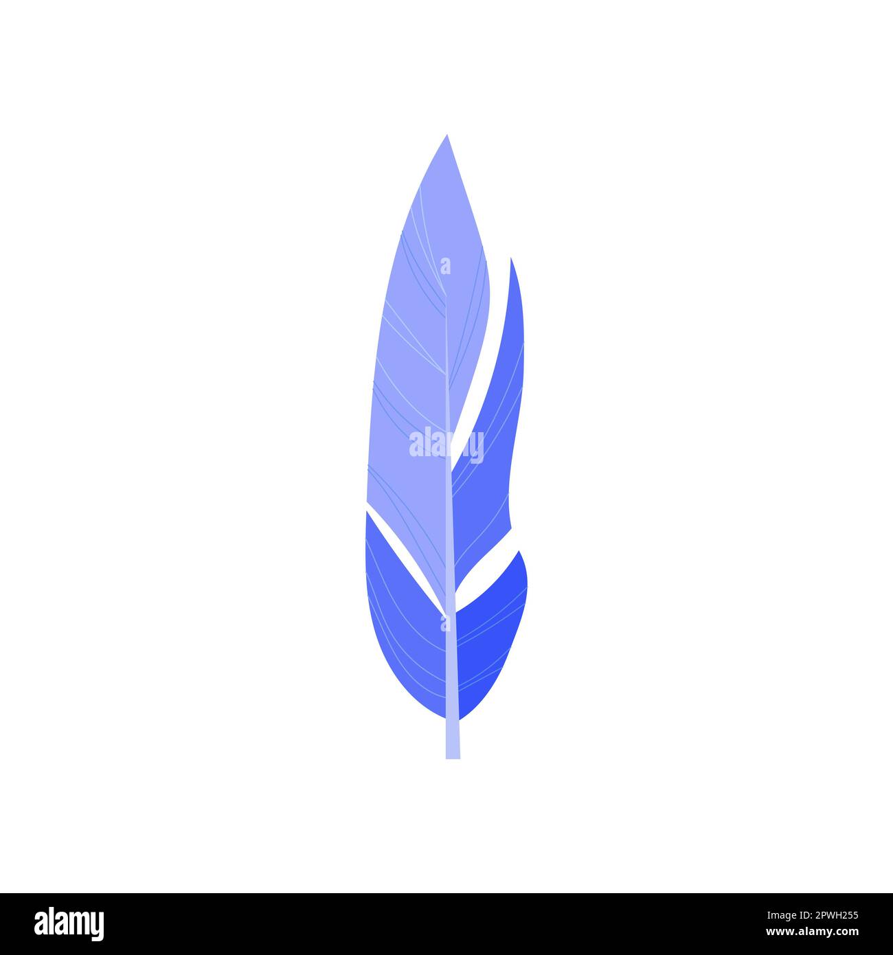 Elegant blue bird feather cartoon illustration Stock Vector Image & Art ...