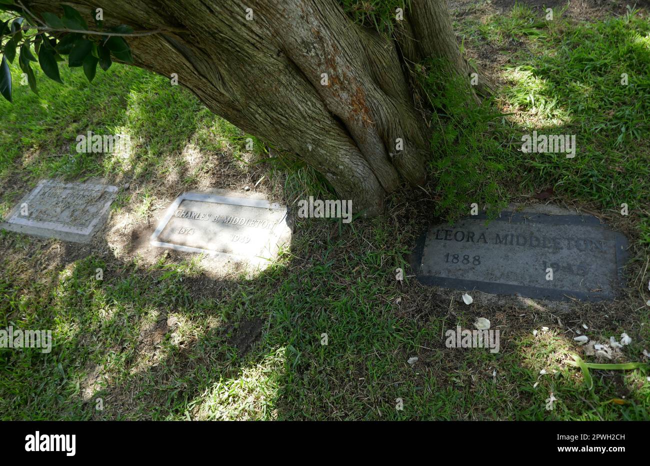 Los Angeles, California, USA 29th April 2023 Actor Charles Middleton Grave and Actress Leora ...