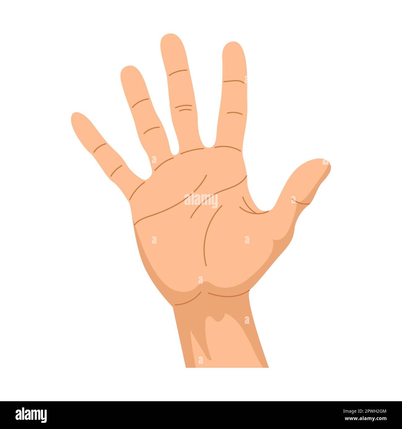 Hand gesture. Vector illustration of human palm showing five number ...