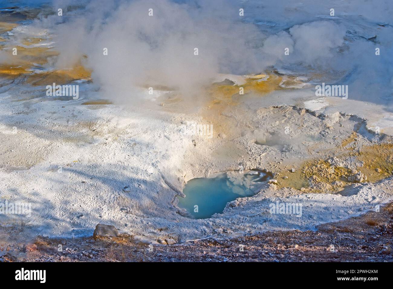 Alien Landscape in a Hot Spring Basin in the Norris Geyser Basin in ...