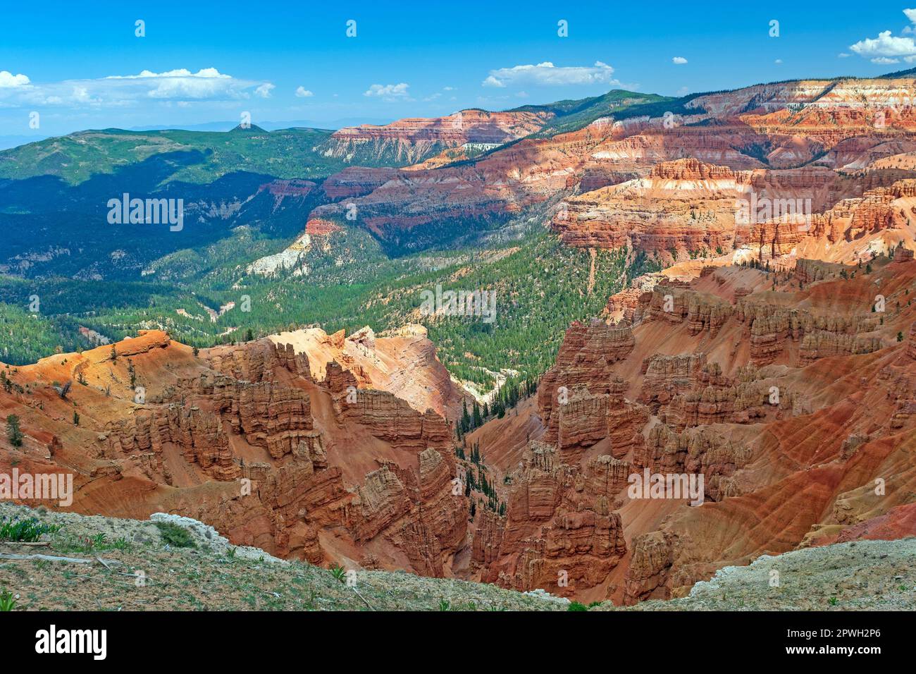 Red Cliffs Amongst the Green Canyons in Cedar Breaks National Monument ...