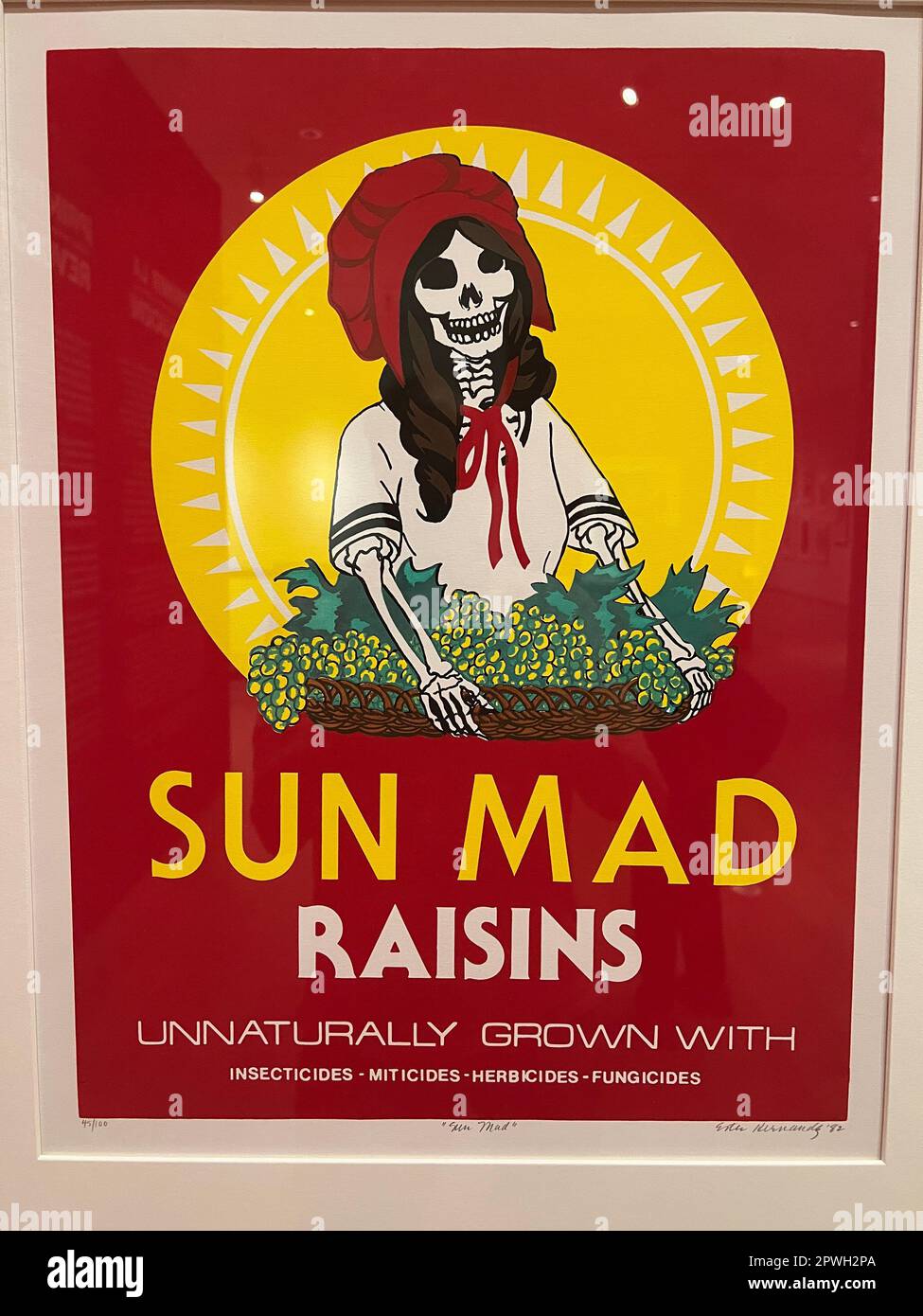 Sun Mad, Ester Hernandez, 1982. In Sun Mad, Hernandez reconfigures the ...