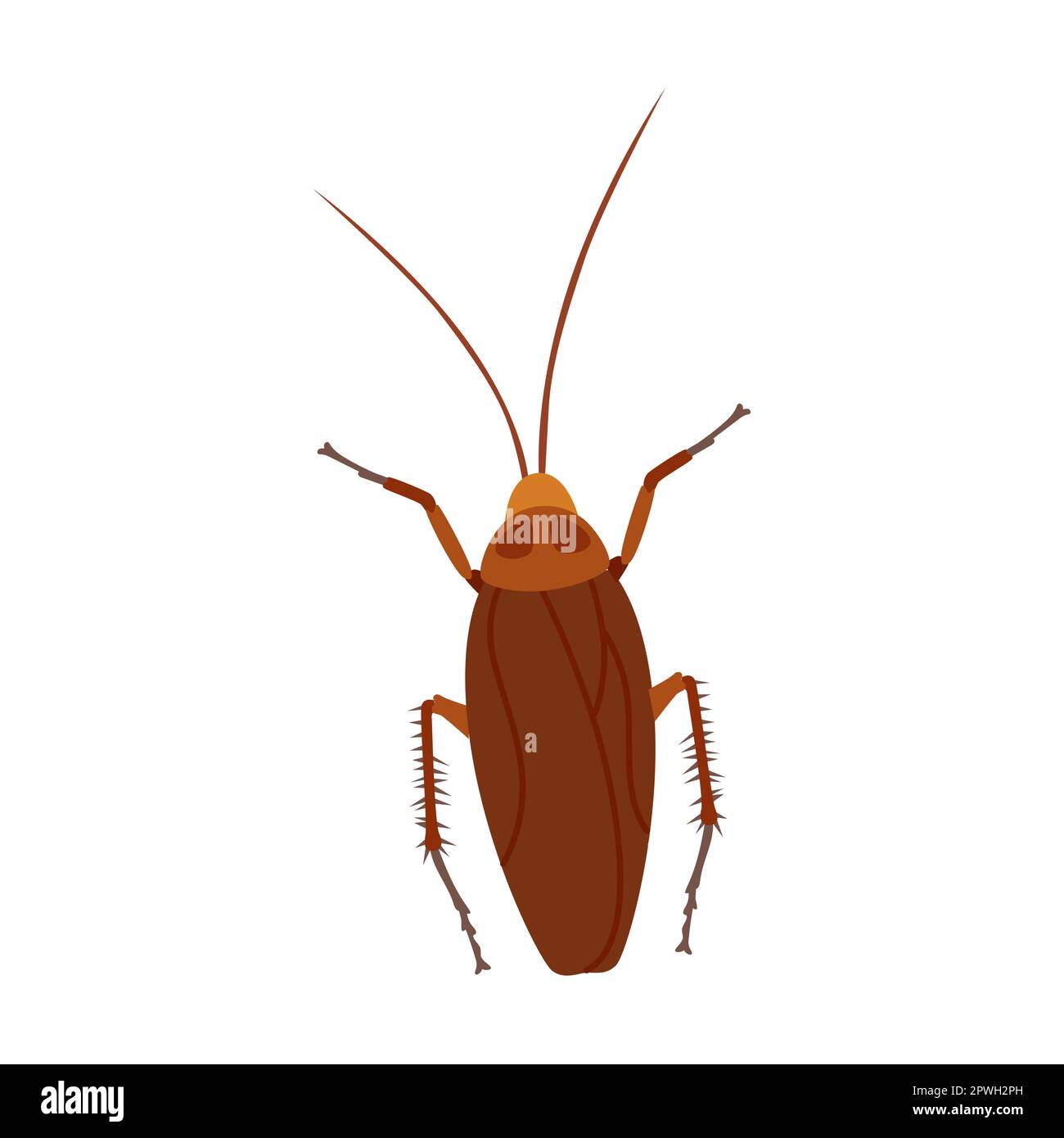 Harmful cockroach insect on white background cartoon illustration. Lady ...