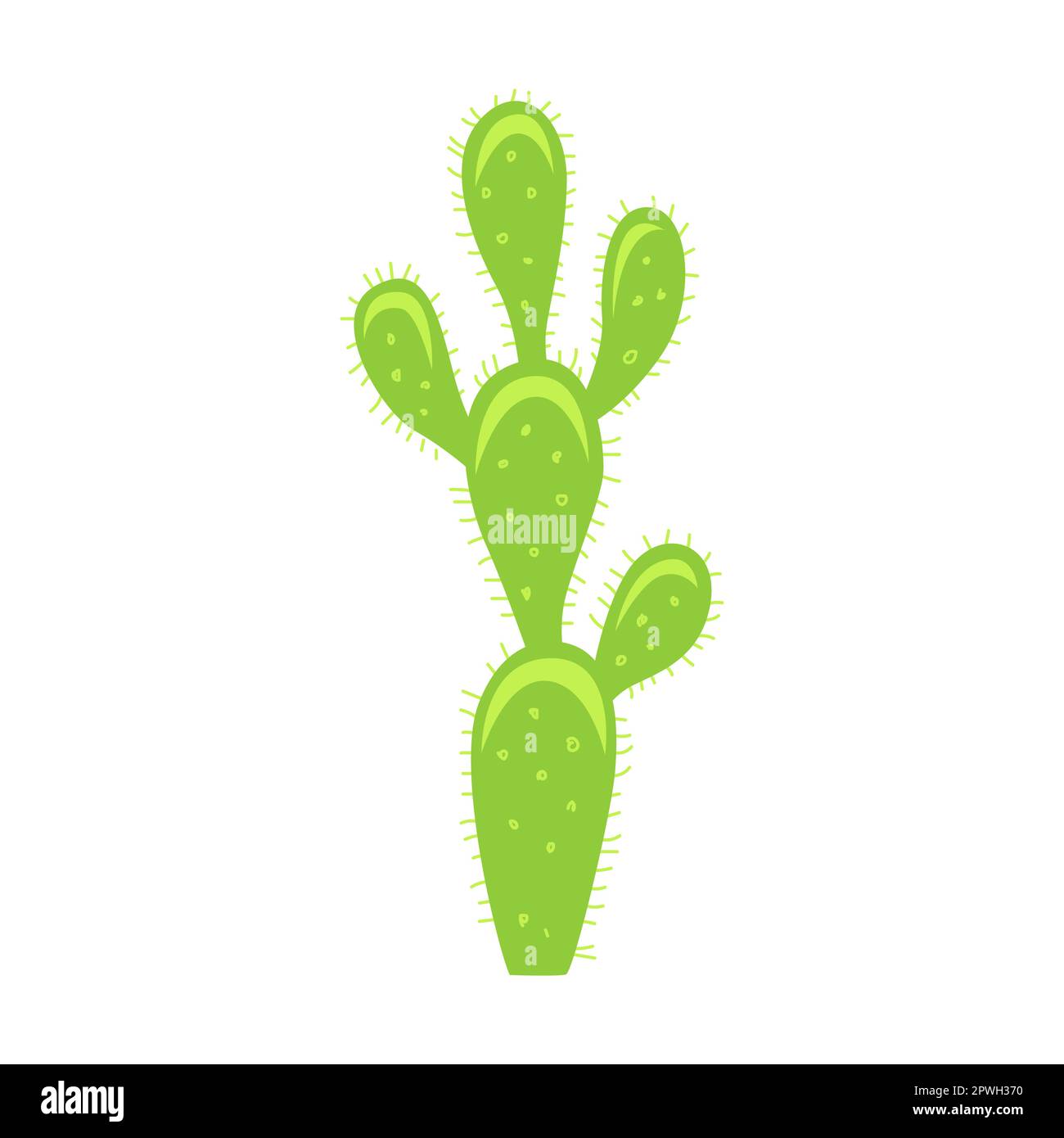 Cactus vector illustration. Cacti, spiny tropical plant with flowers or ...