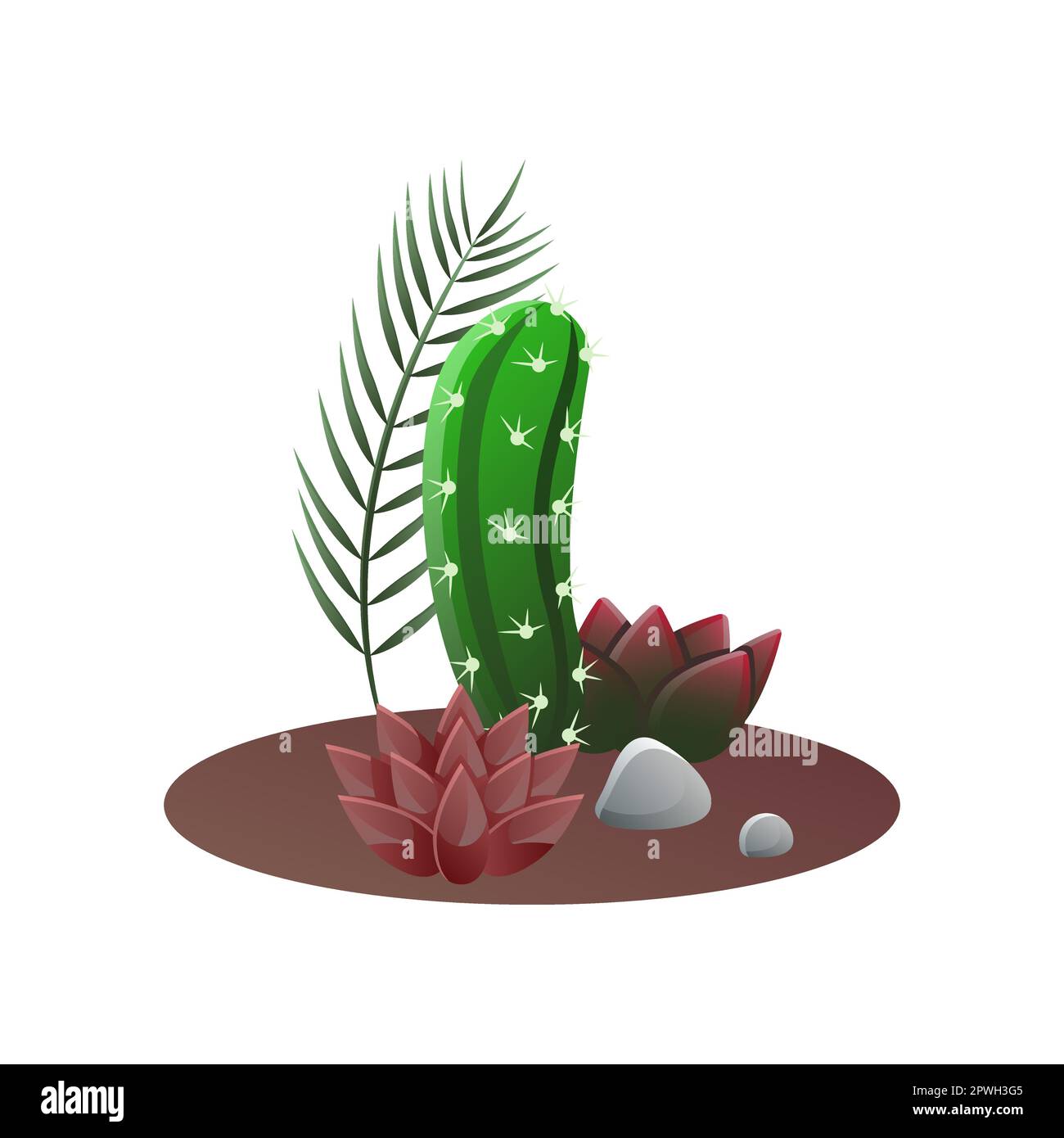 Composition of succulents and cactus growing in ground of pot Stock ...
