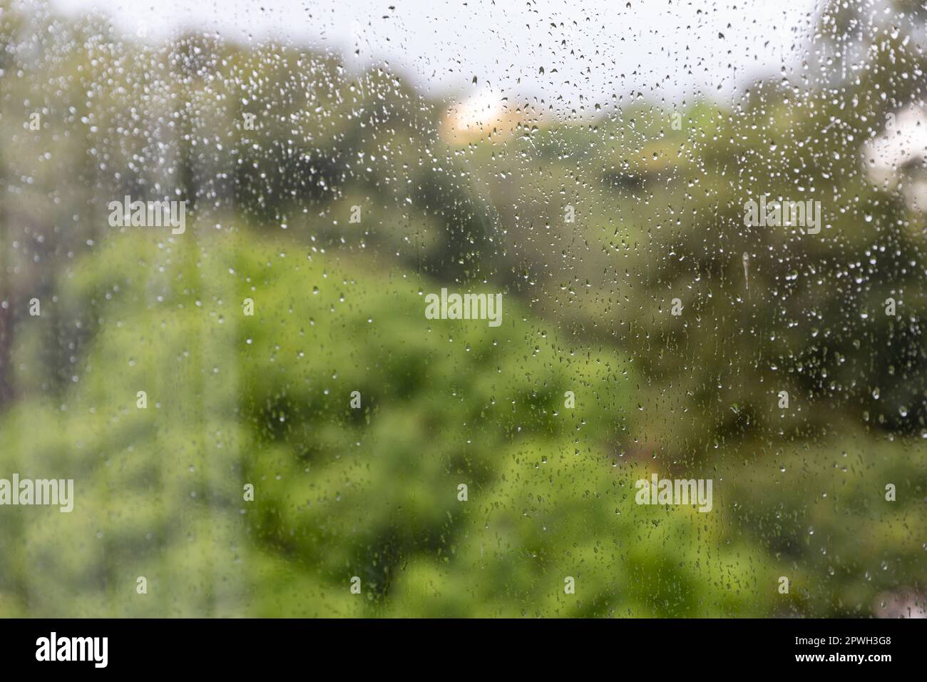 Rain on the window with drops of water on the glass from the outside ...
