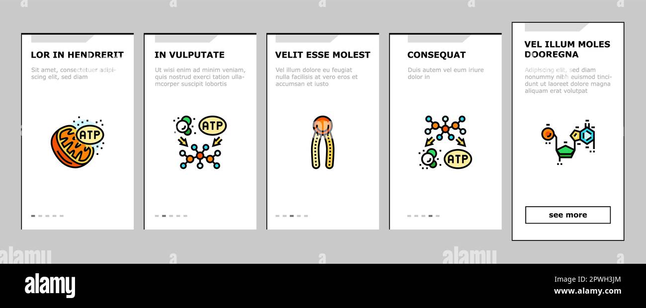 biotechnology chemistry science onboarding mobile vector. biochemistry ...