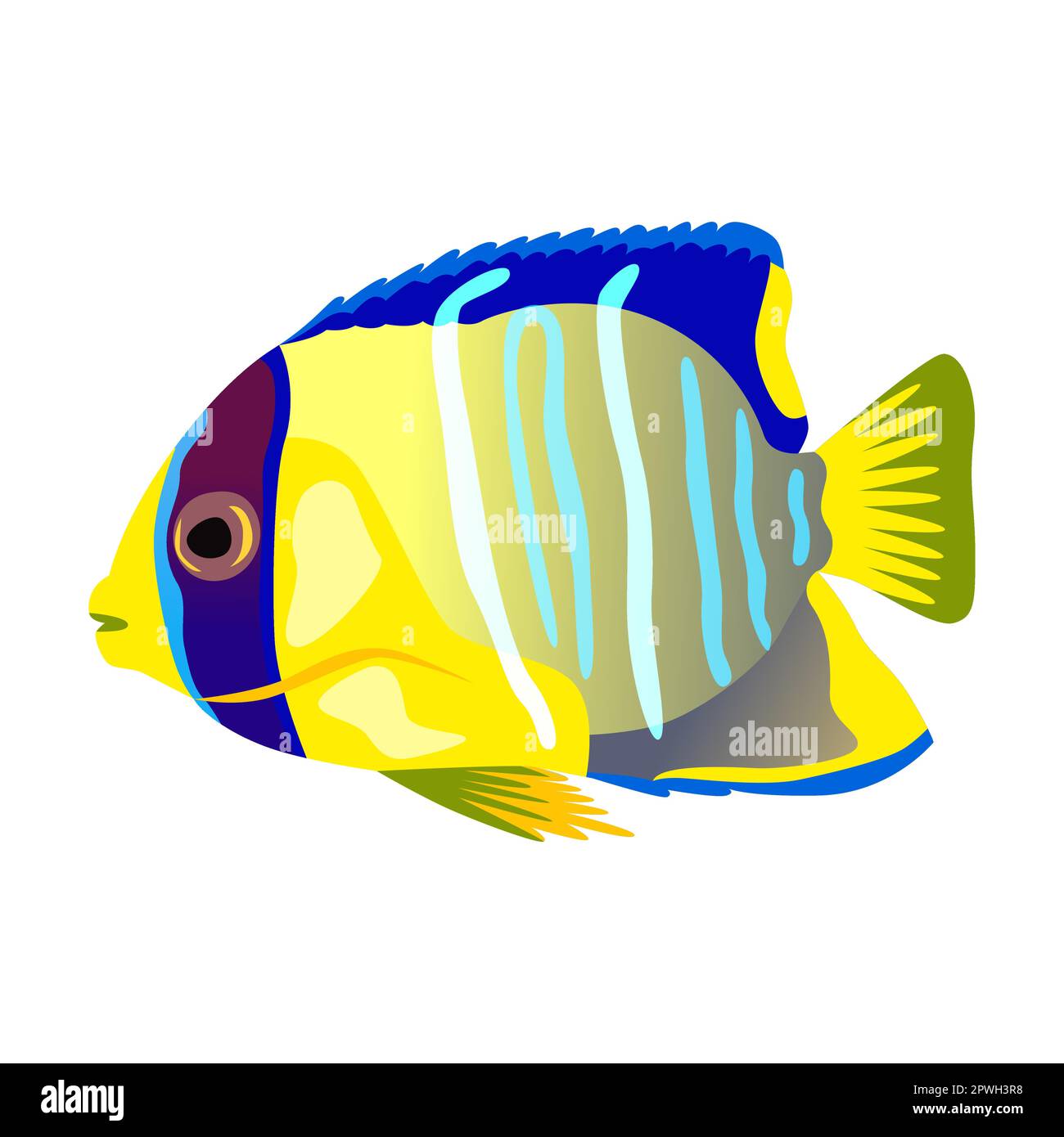 Coral fish on white cartoon illustration. Beautiful tropical reef ...