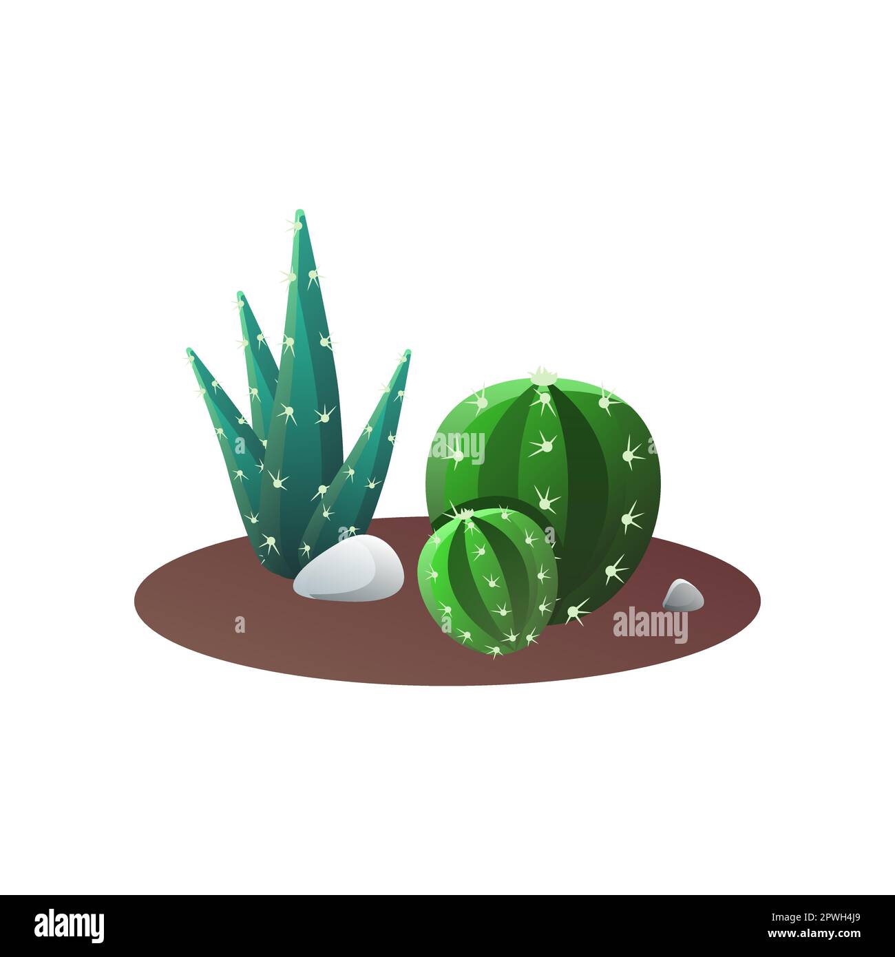 Green cacti growing in ground of pot Stock Vector Image & Art - Alamy
