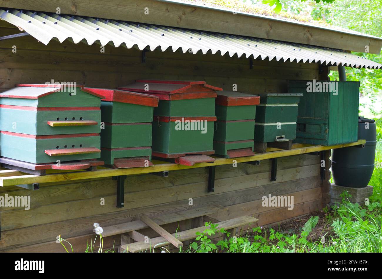 Group of different wooden beehives at outdoor apiary Stock Photo - Alamy