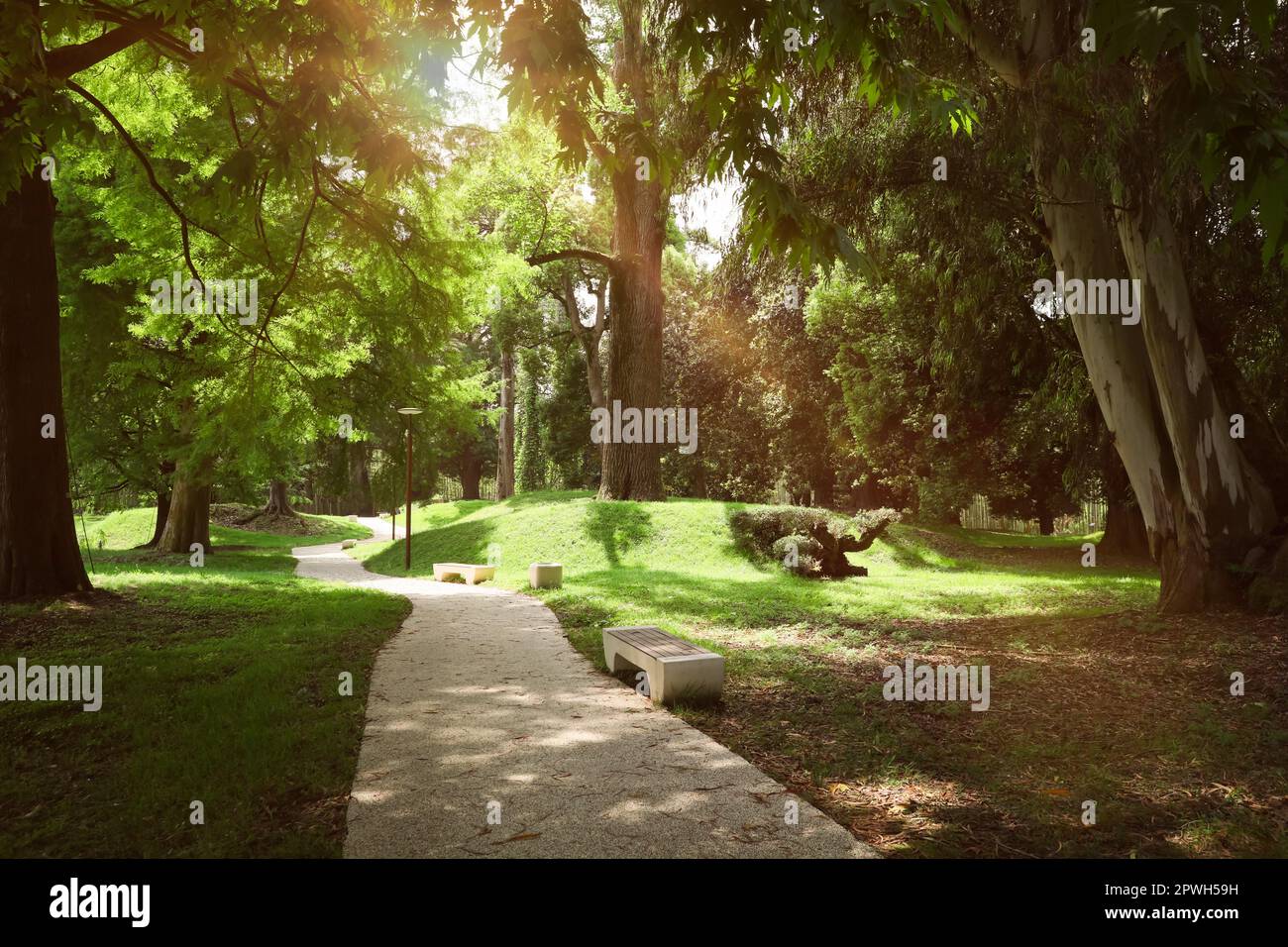Picturesque view of tranquil park with paved pathway and benches Stock ...