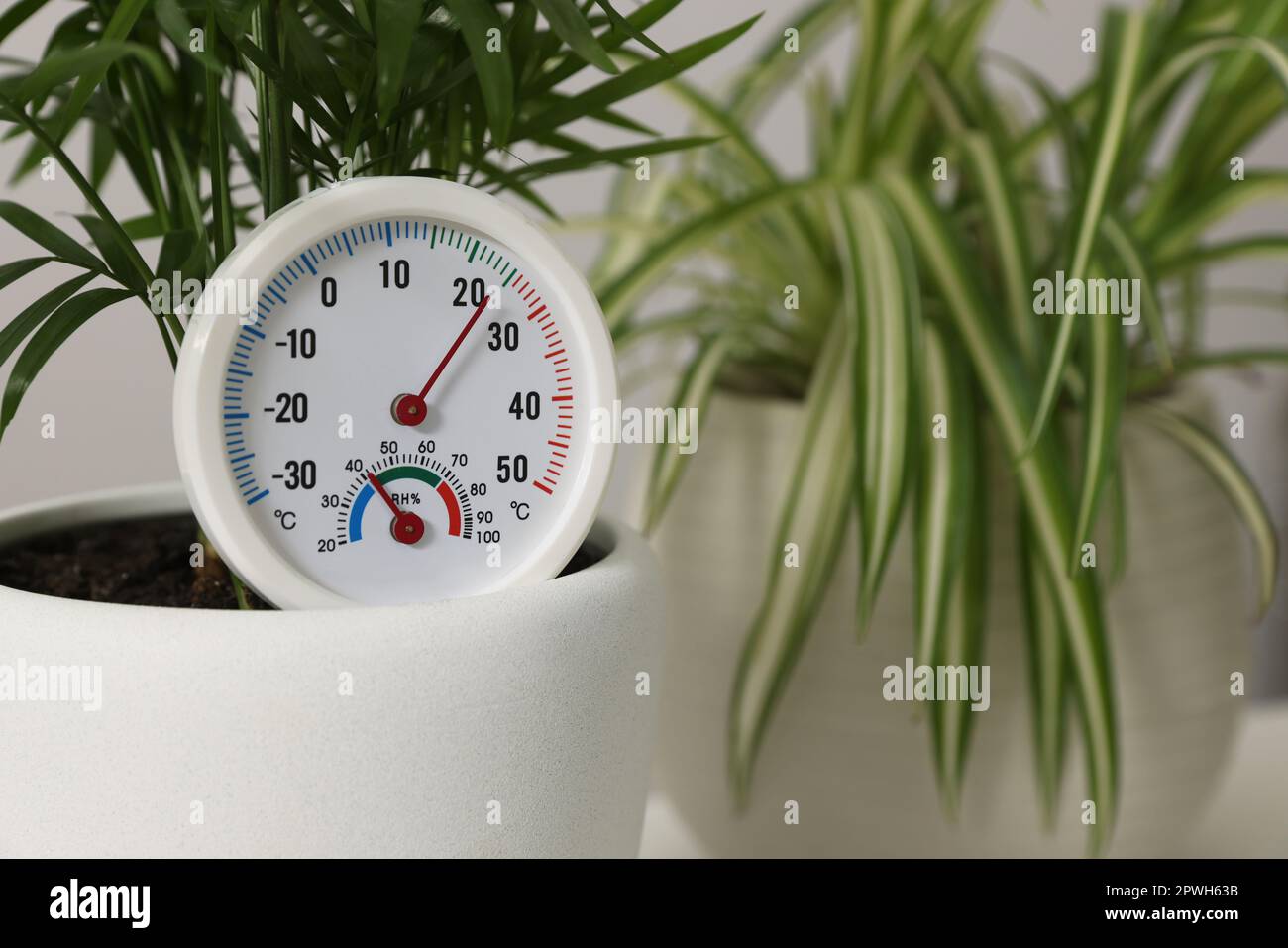 Pot plant with thermometer hi-res stock photography and images - Alamy