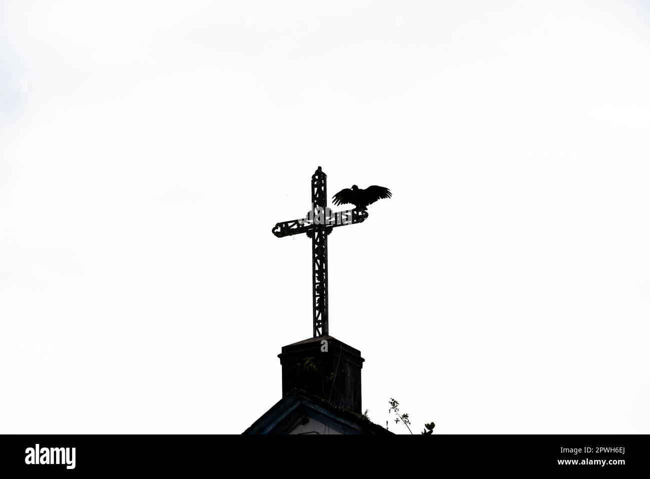 A vulture on top of the cross of a catholic church. City of Valenca ...
