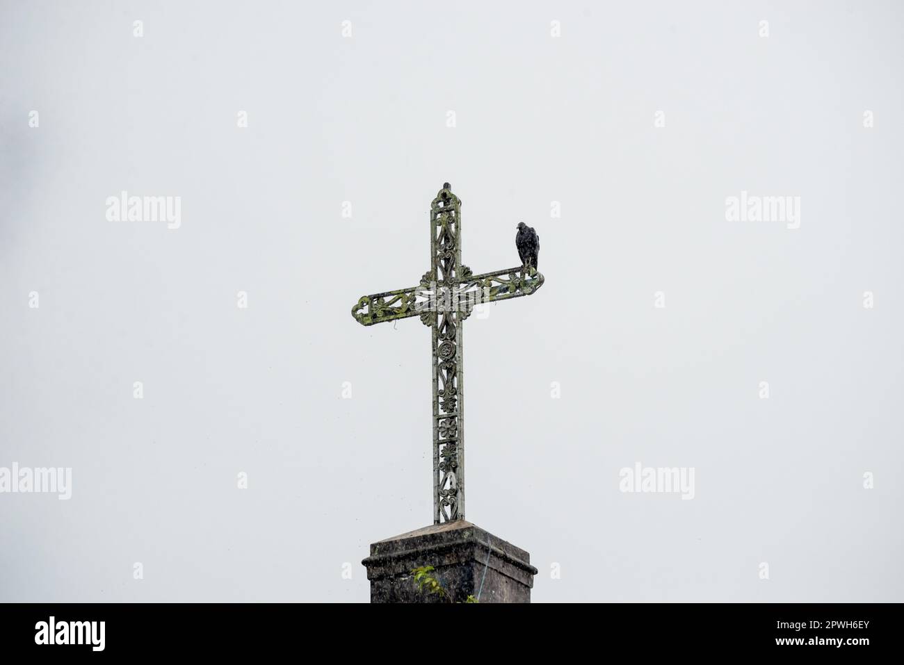 A vulture on top of the cross of a catholic church. City of Valenca ...