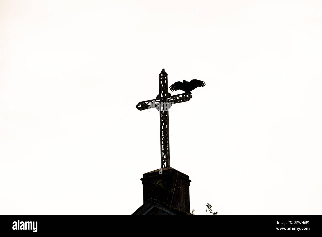 A vulture on top of the cross of a catholic church. City of Valenca ...