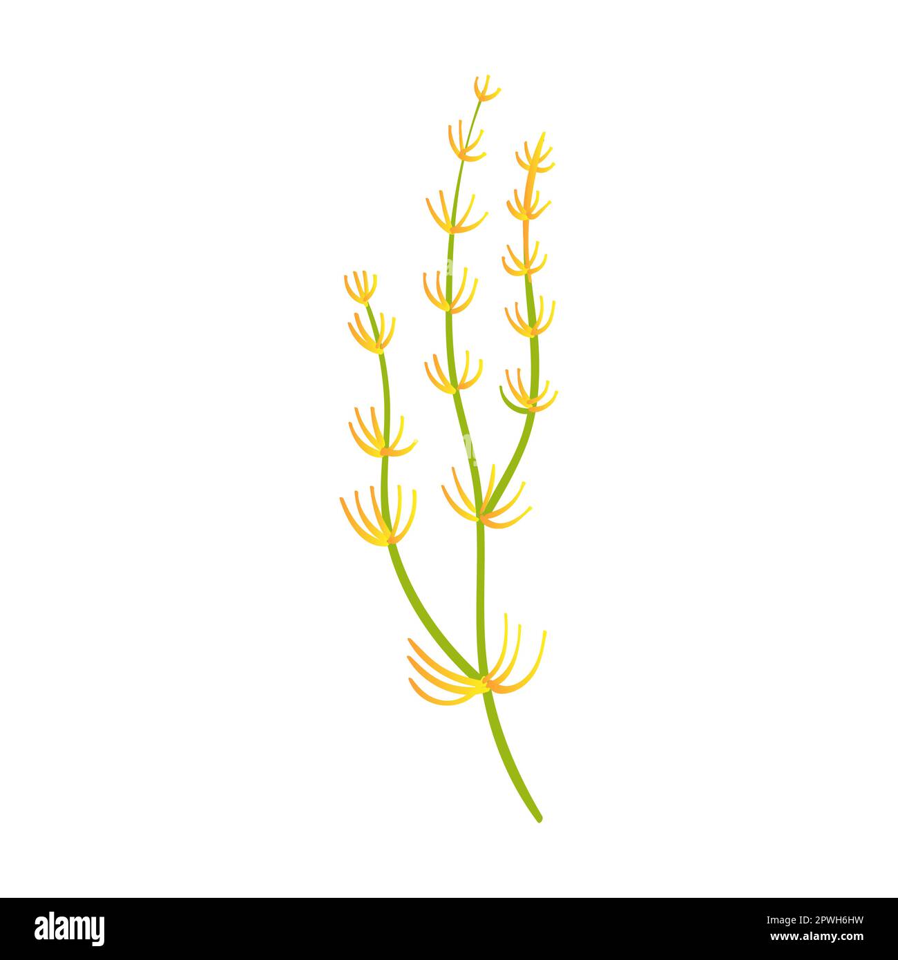 Tail crab Stock Vector Images - Alamy