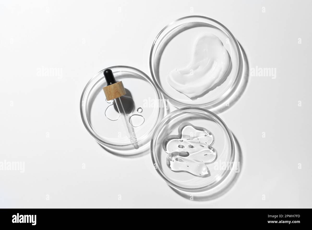 Many Petri dishes and cosmetic products on white background, top view ...