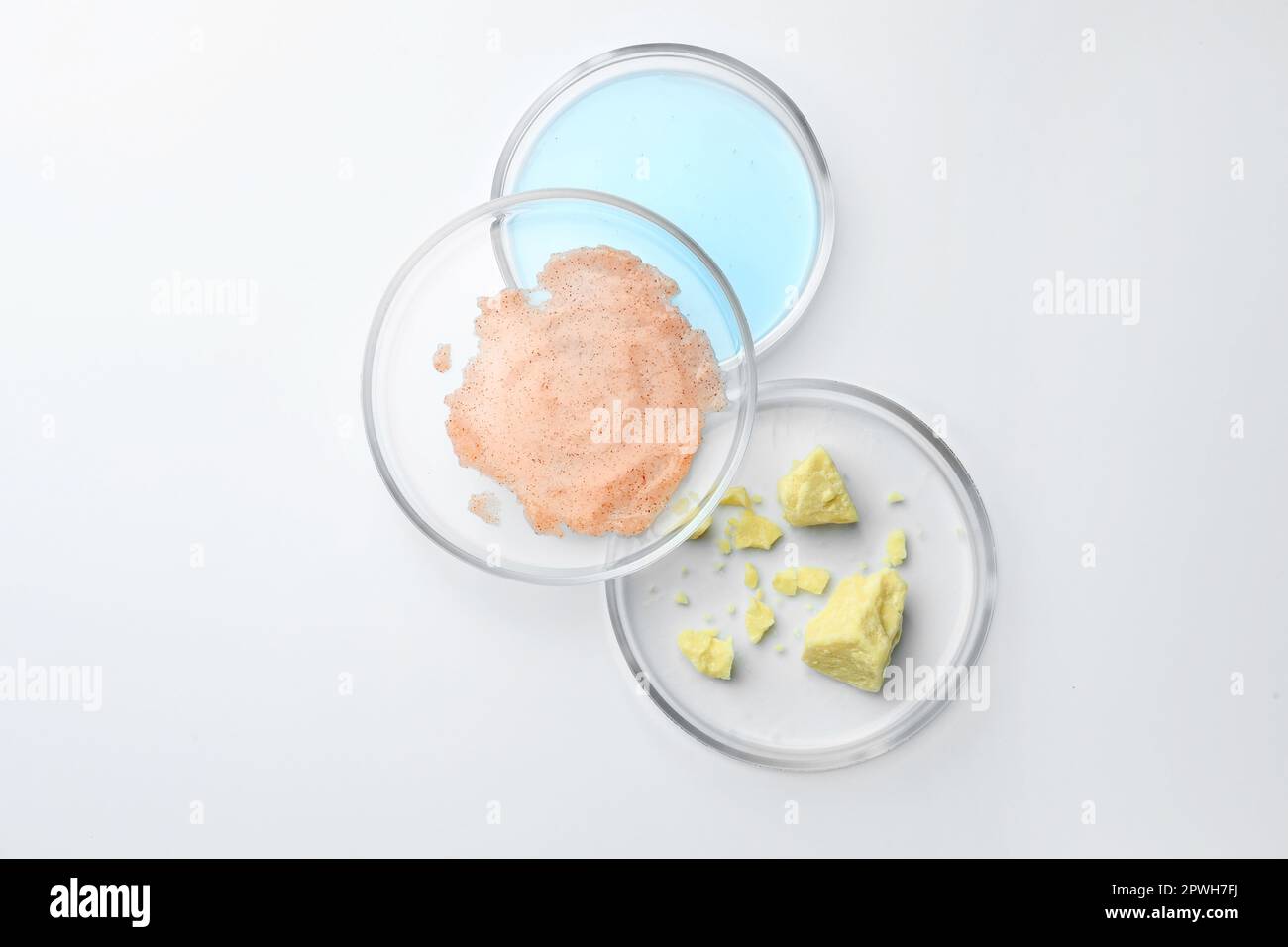 Many Petri dishes and cosmetic products on white background, top view ...