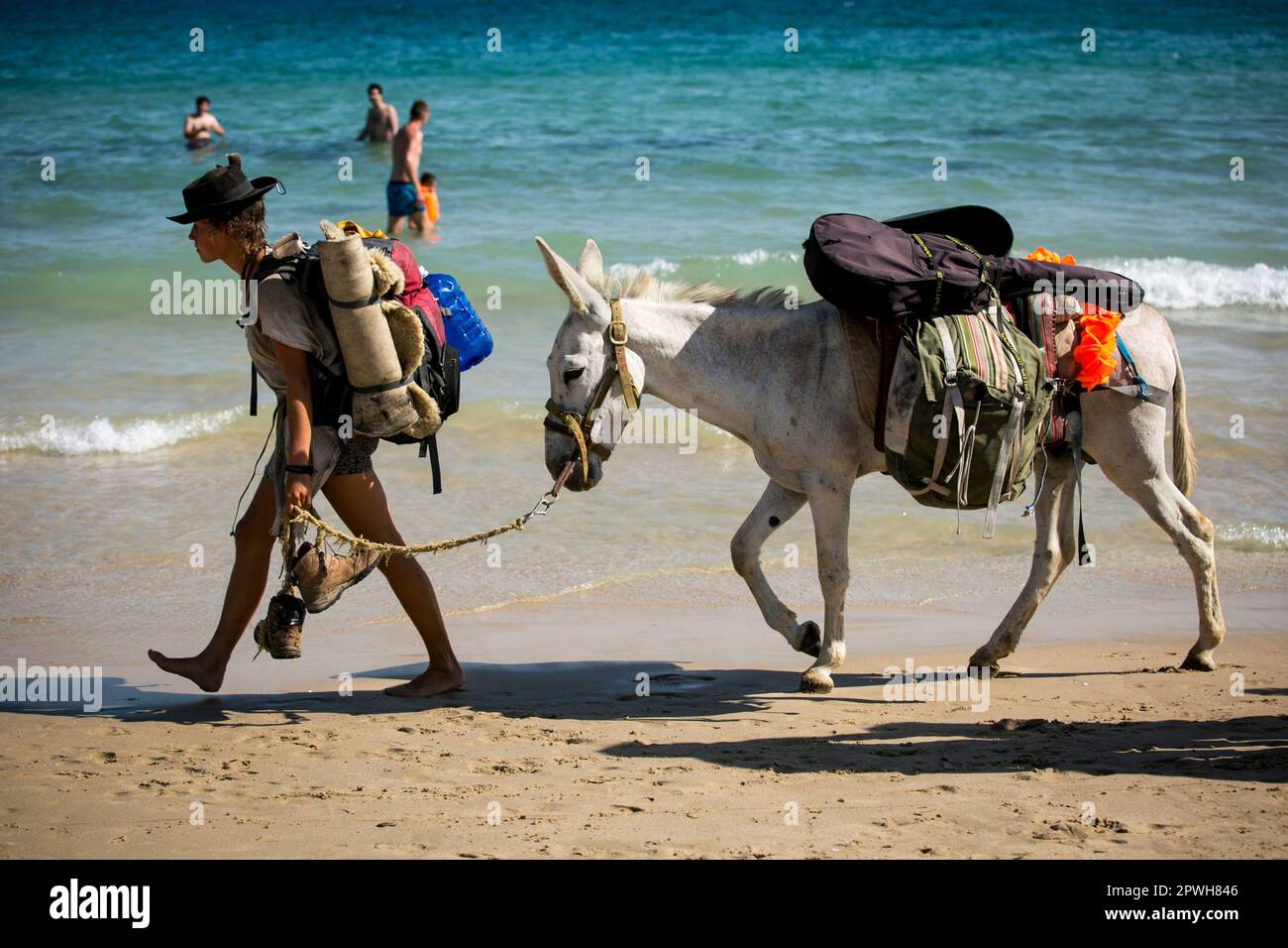 A man with a donkey walks along the coast Stock Photo - Alamy