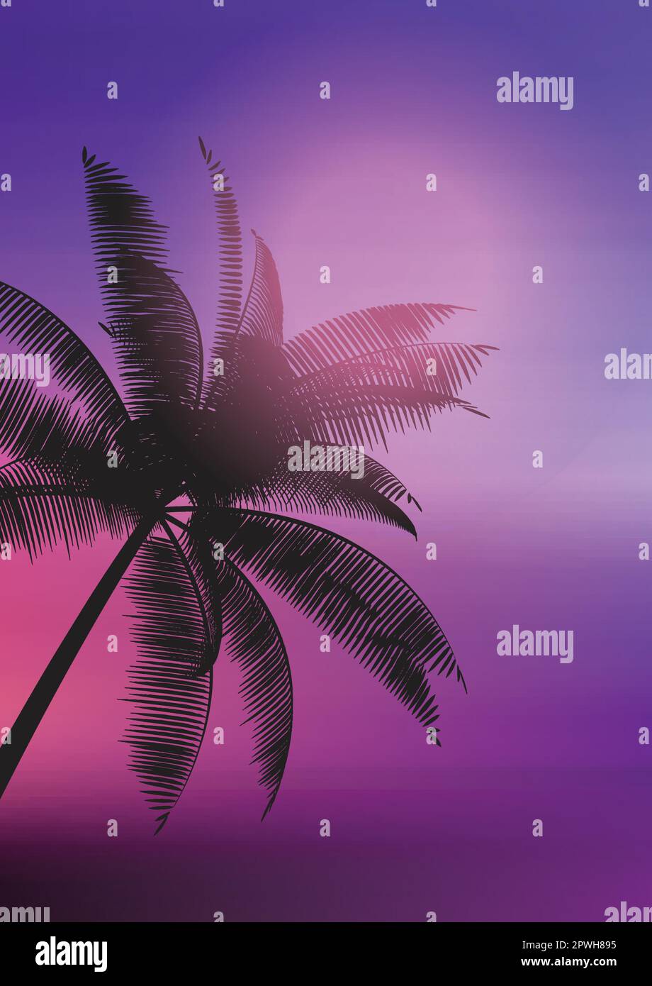Silhouette of a palm tree on a gradient sunset background Stock Vector ...