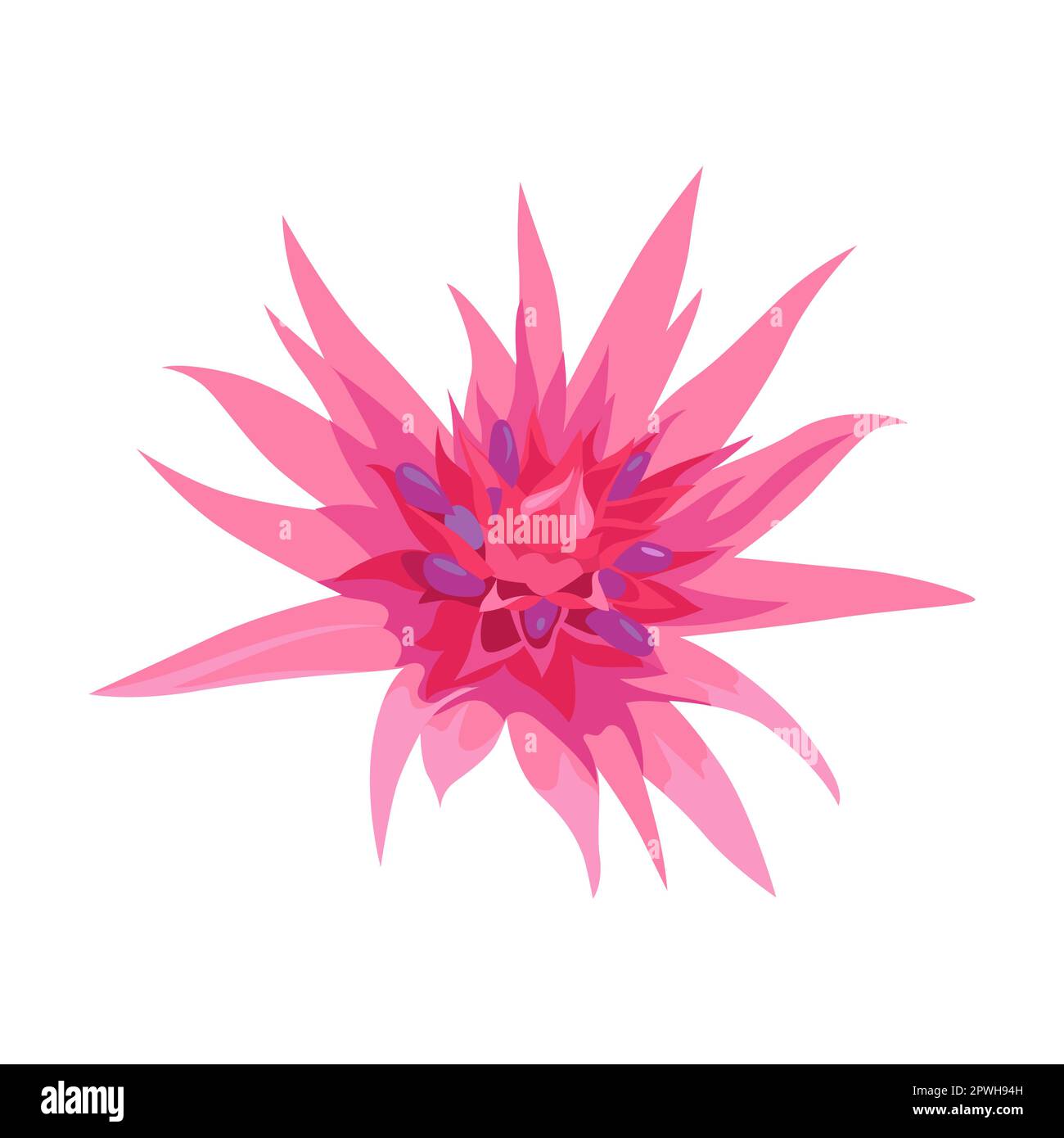 Jungle flower cartoon illustration. Wild tropical Hawaiian or ...