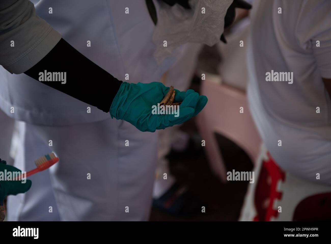Saraburi, Thailand. 30th Apr, 2023. Volunteers clean human skeletons ...