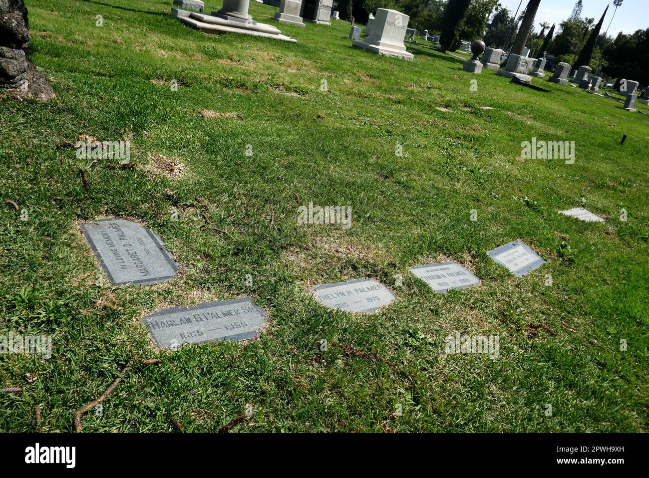 Georgine darcy hi-res stock photography and images - Alamy