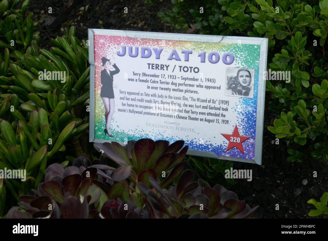 Los Angeles, California, USA 29th April 2023 Toto Memorial Statue at ...