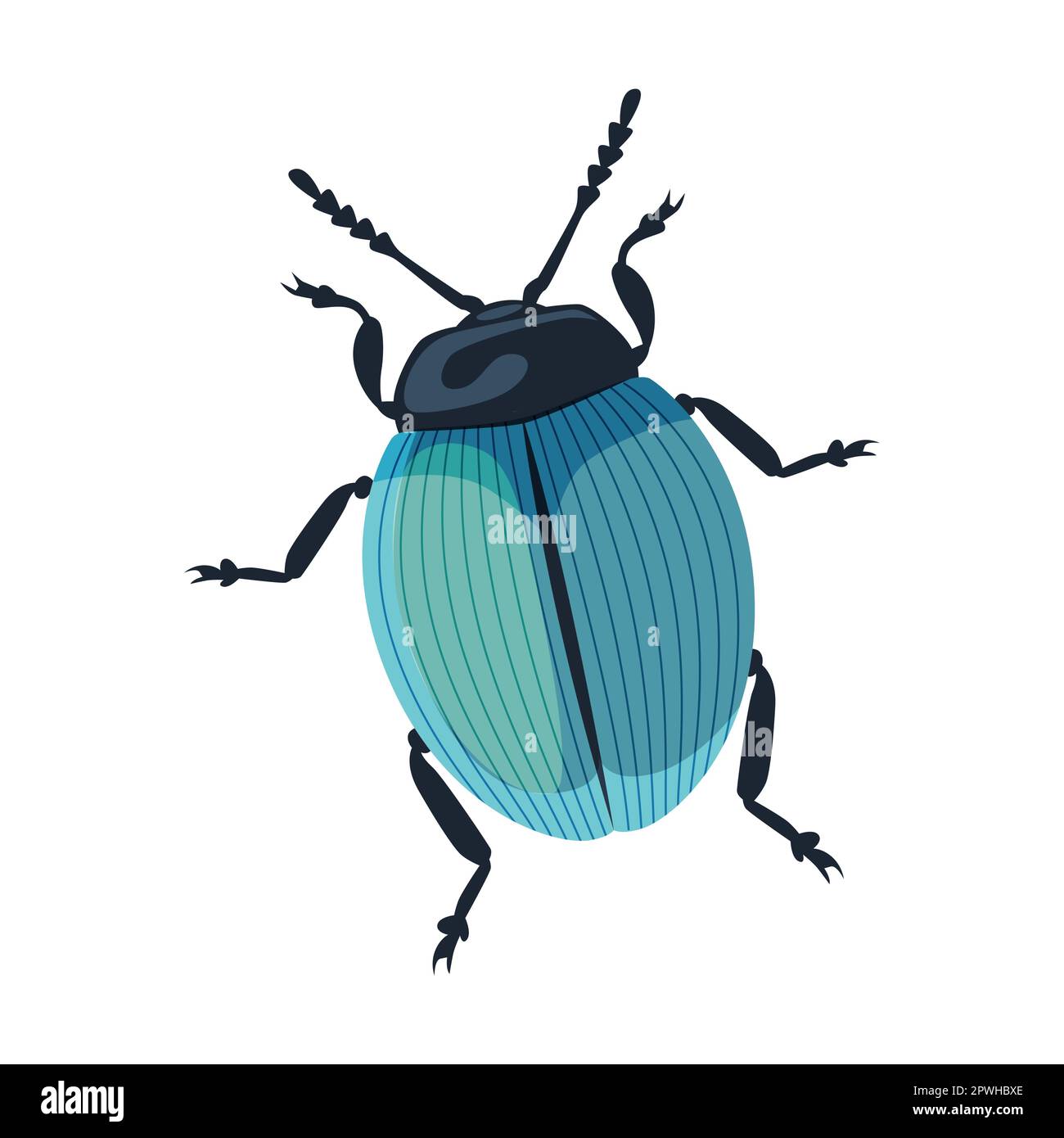 Ladybug nymph Cut Out Stock Images & Pictures - Alamy