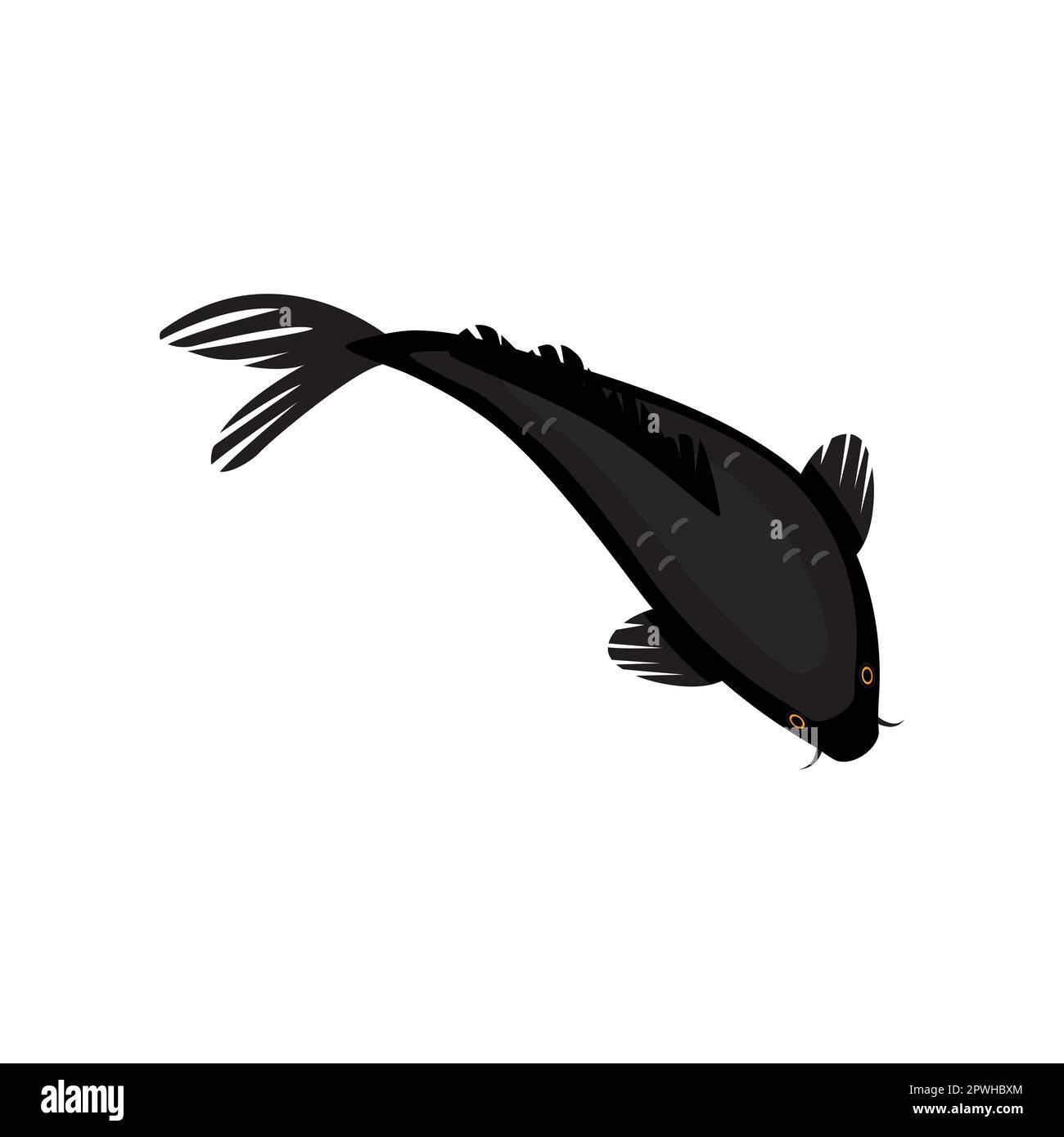 Black koi fish swimming in pond cartoon illustration Stock Vector Image ...