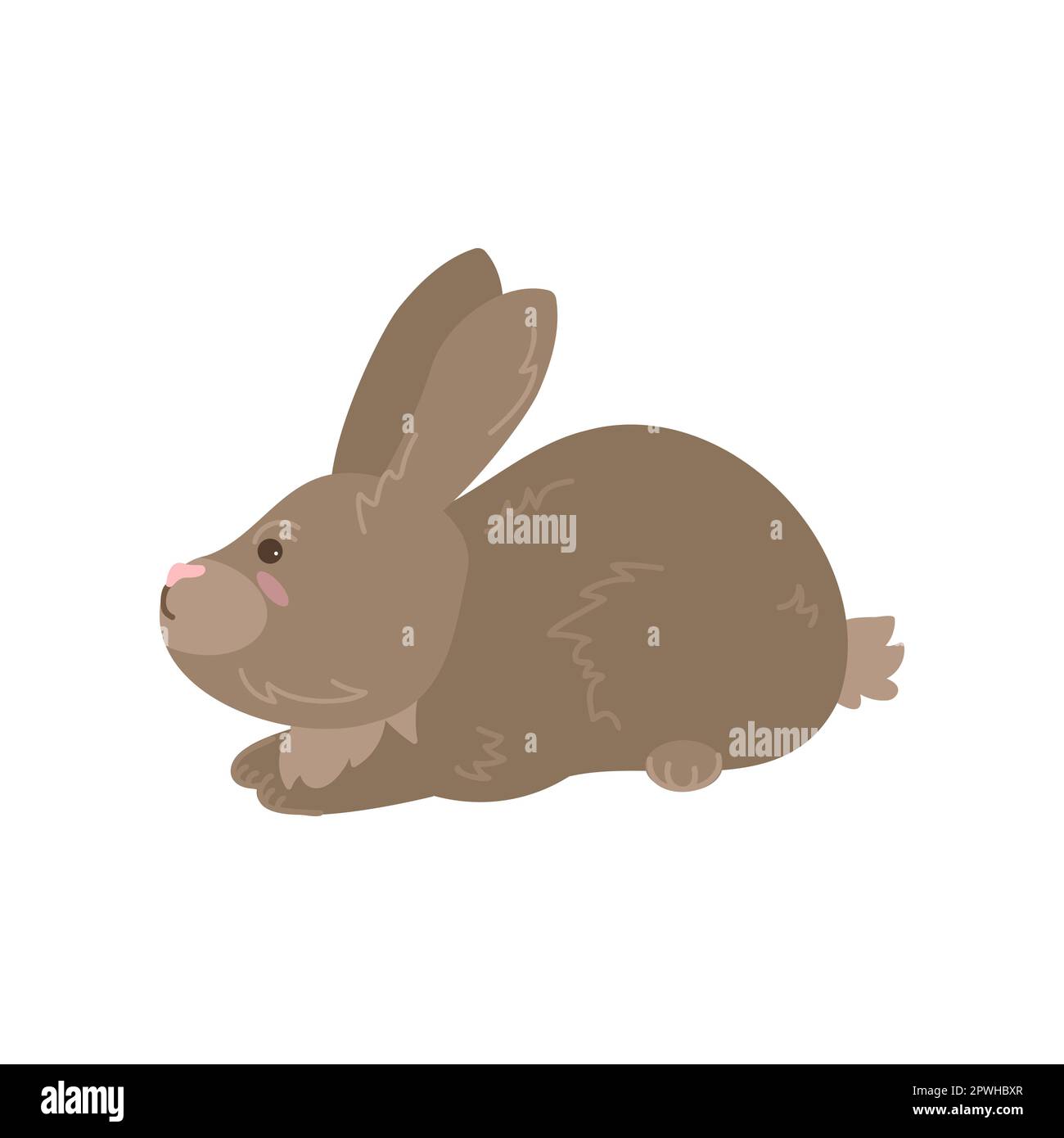 Cute brown rabbit sitting on white background Stock Vector Image & Art ...