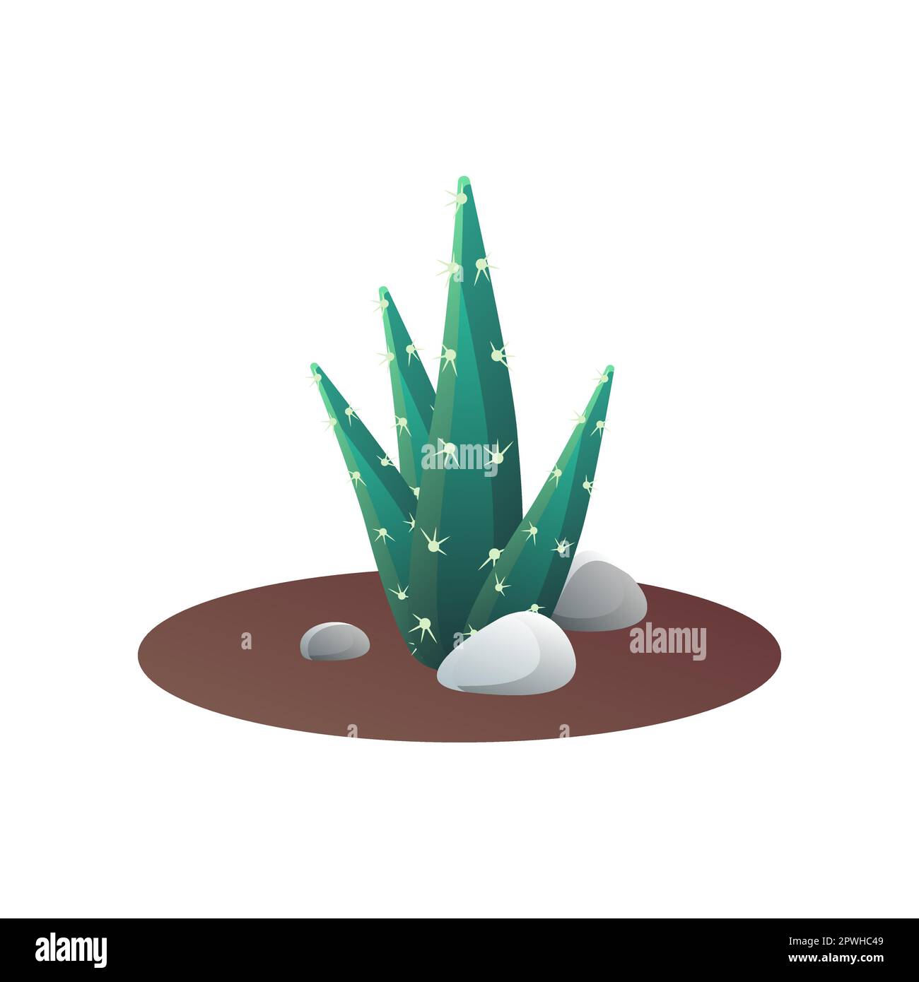 Green cactus with rocks growing in ground of pot Stock Vector Image ...