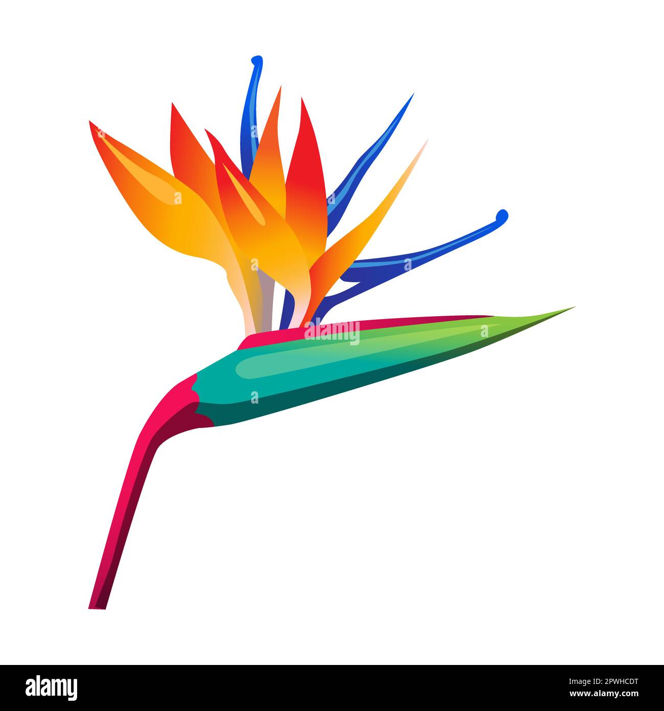 Exotic flower cartoon illustration. Wild tropical Hawaiian or ...